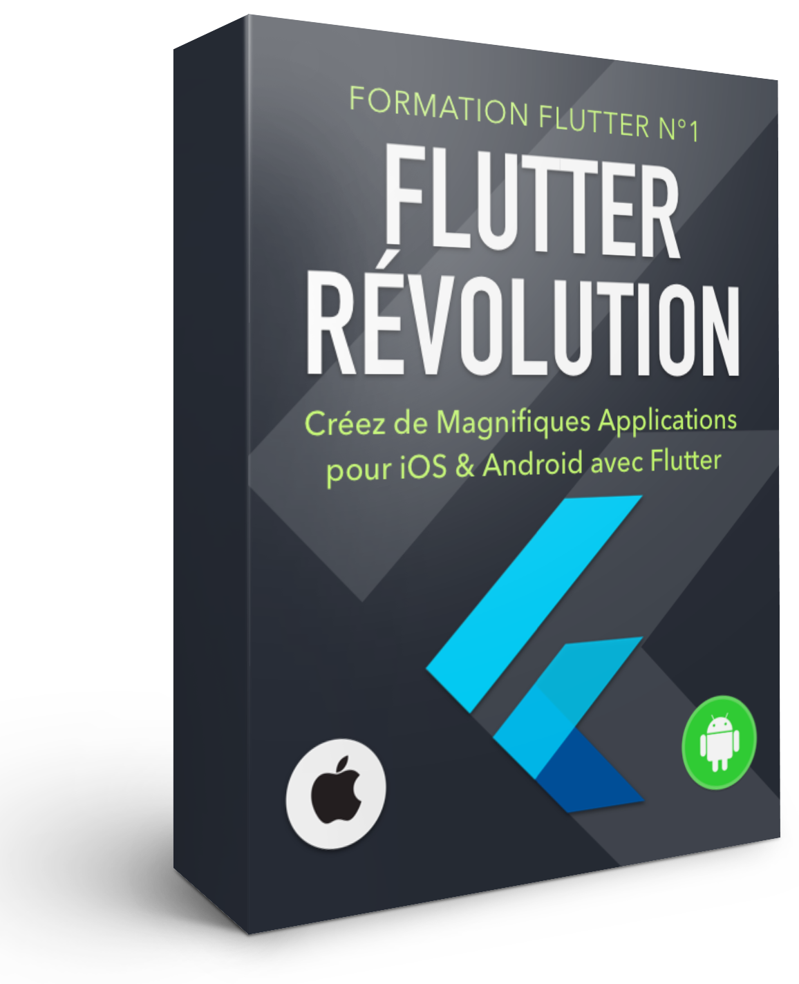 flutter-revolution-pack-5 – Driss AS